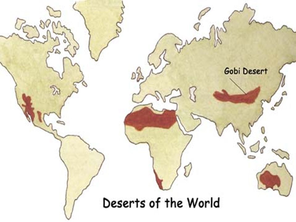 Deserts | Flashcards