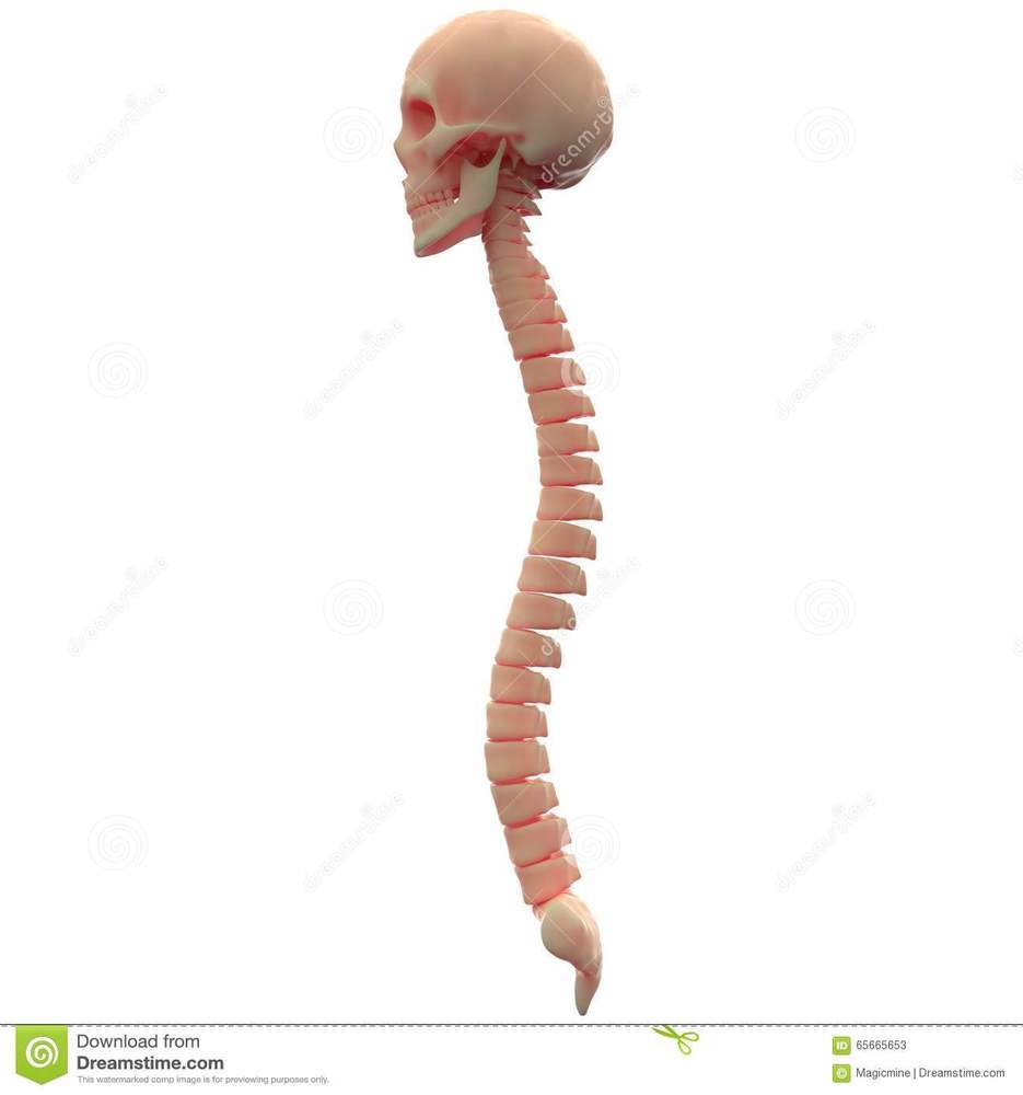 Vocabulario de biología | Flashcards