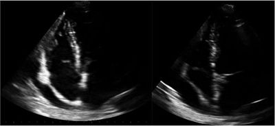 Test de evaluación teórica | Quiz