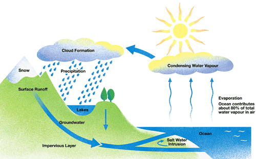 BIOPHYSICAL ENVIRONMENTS | Mind Map