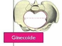 PELVIS OSEA NORMAL. PRESENTACION ACTITUD Y SITUACION FETALES ...