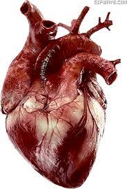 -OCTOPUS- | Mind Map