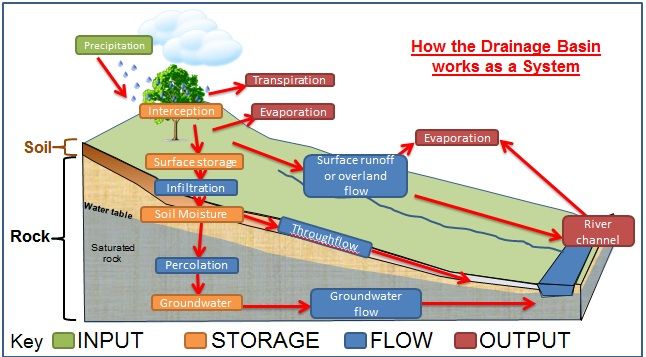 Rivers, Floods and Management: Drainage Basin Hydrological Cycle | Mind Map