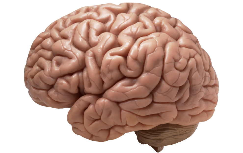 60-YEAR OLD CLIENT WITH RIGHT-SIDED PARALYSIS DUE TO STROKE | Mapa Mental